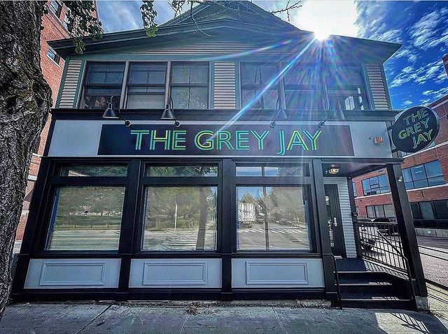 The Grey Jay — Love Burlington